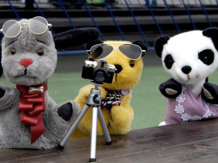 Sooty on TV | Channels and schedules | TV24.co.uk