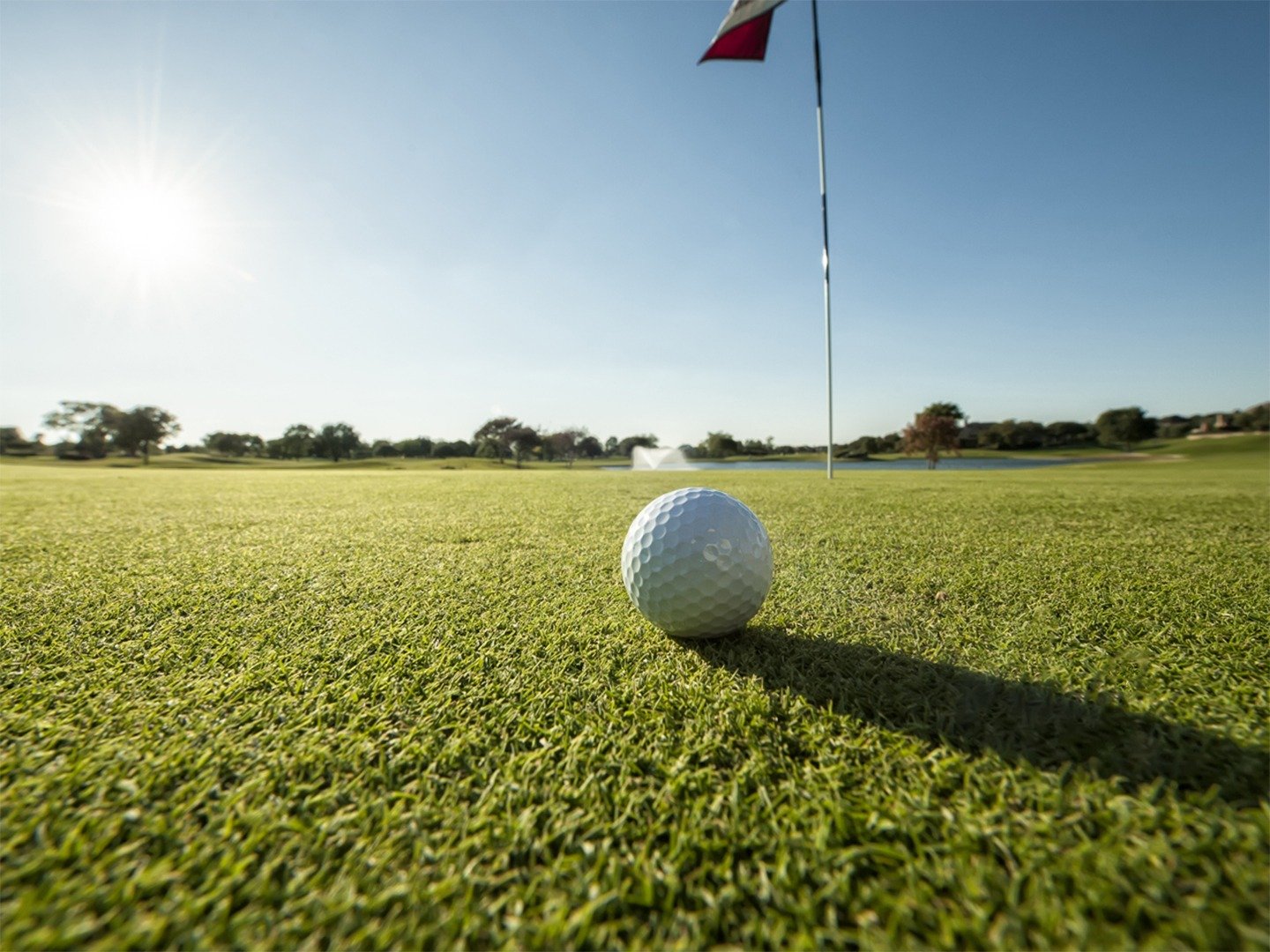 Day 4 (Joburg Open, DP World Tour Golf) on TV | Channels and schedules ...