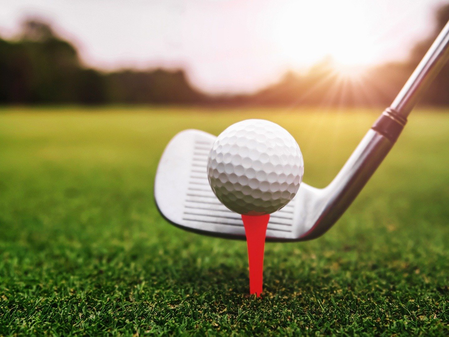 Day 4 (Founders Cup, LPGA Tour Golf) on TV | Channels and schedules ...