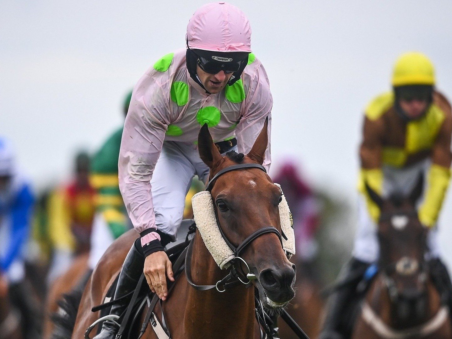 Irish Derby Festival ( RTÉ Racing) on TV | Channels and schedules ...