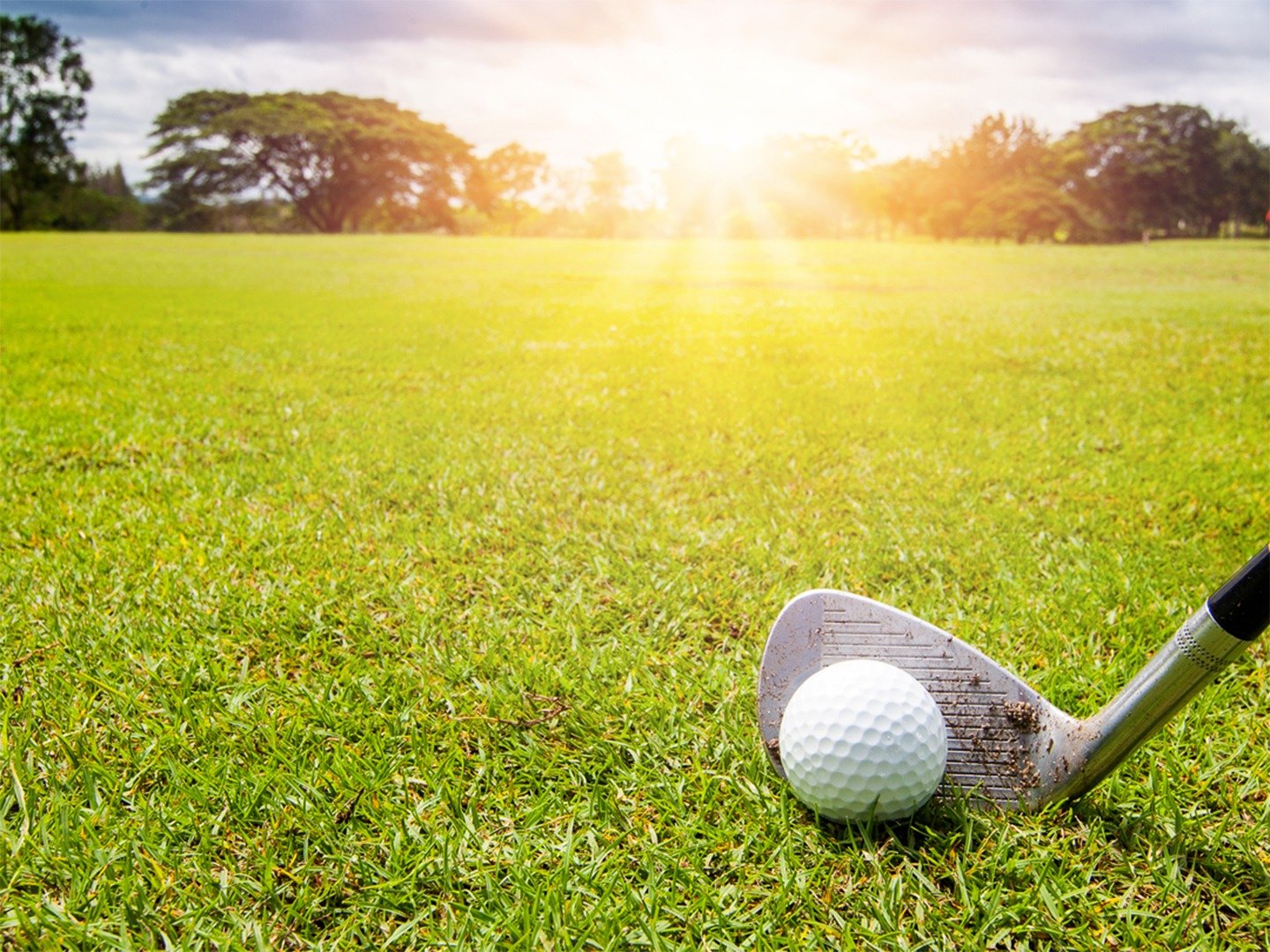 Final Round: Highlights (The Open Championship, PGA Tour Golf) on TV ...