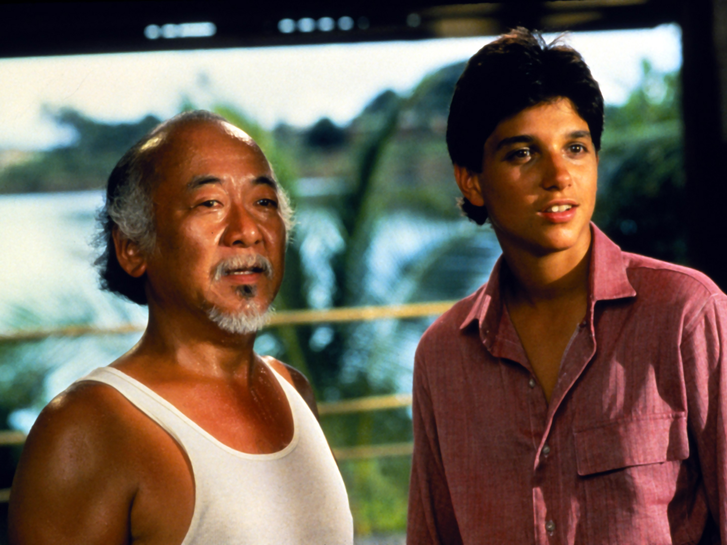 The Karate Kid Part II (1986) on TV | Channels and schedules | tvgenius.com