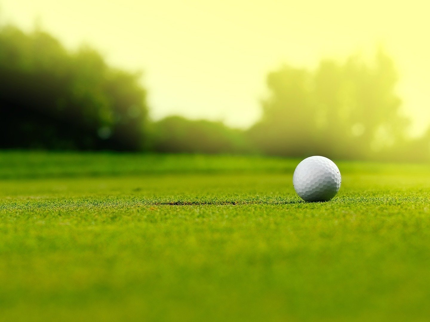 Day 1 (DP World Tour Championship, DP World Tour Golf) on TV | Channels ...