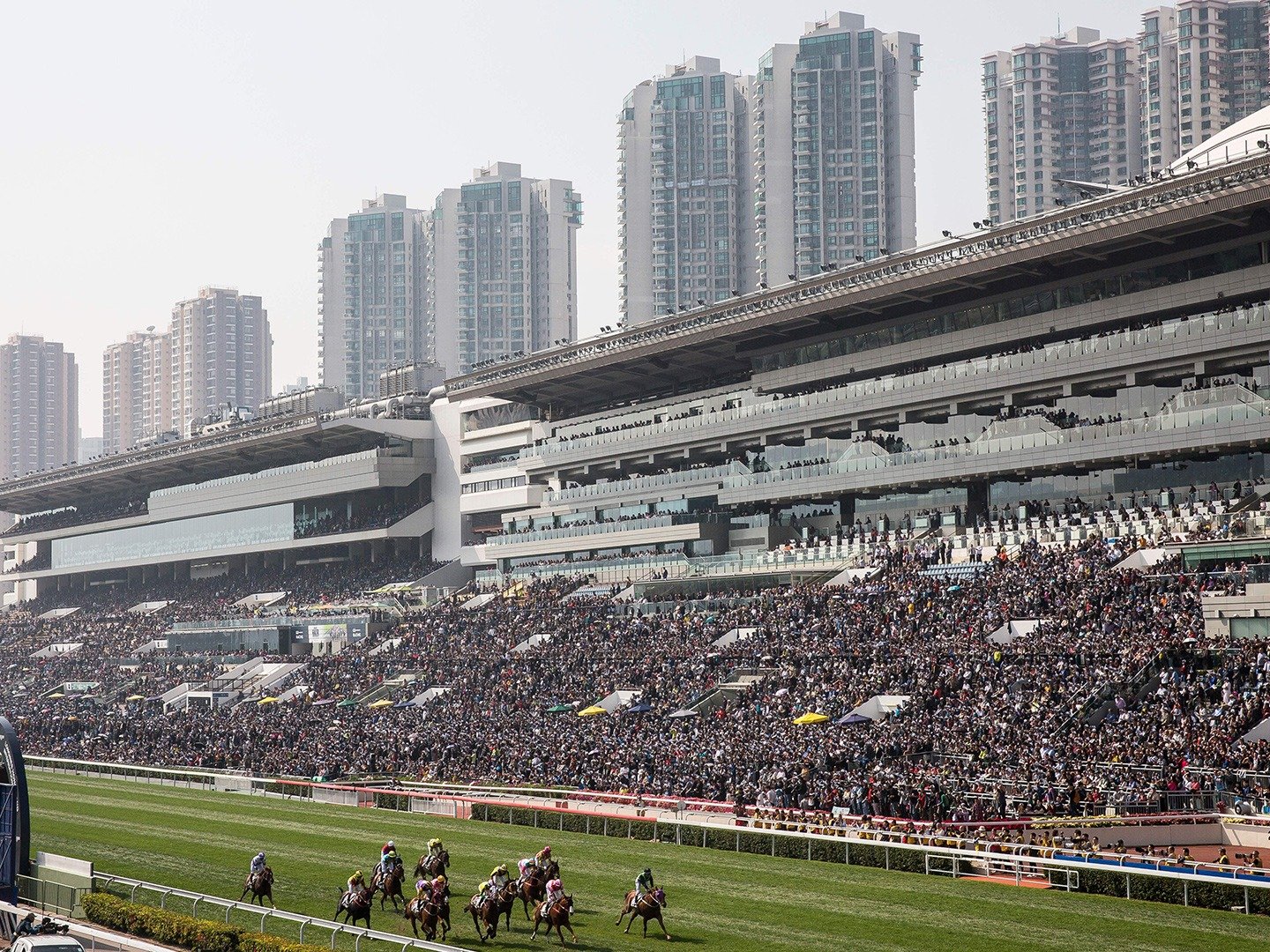 Hong Kong Horse Racing on TV | Channels and schedules | tv24.co.uk