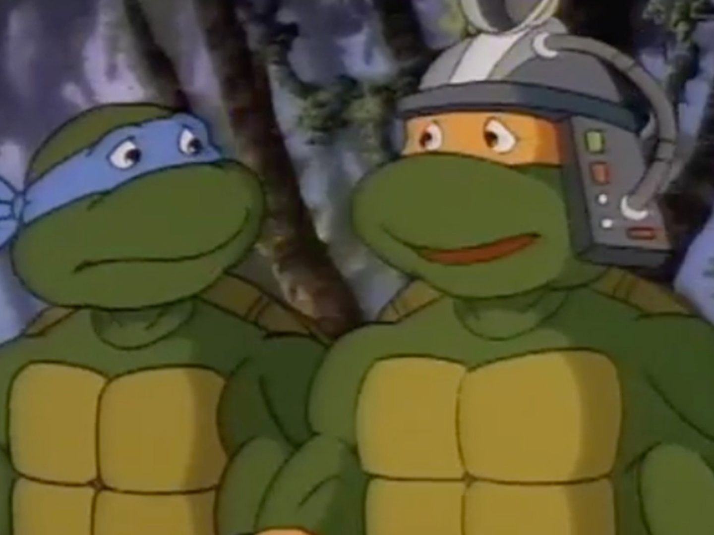 Teenage Mutant Ninja Turtles on TV | Season 6 Episode 9 | Channels and ...