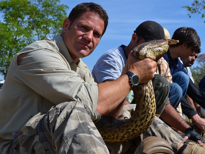 Swimming With Monsters with Steve Backshall on TV | Series 1 Episode 1 ...